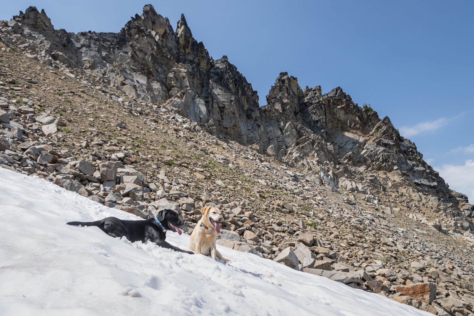 The Cradle | Dogs On Hikes / 狗狗徒步 | Climbing with Labrador Retrievers